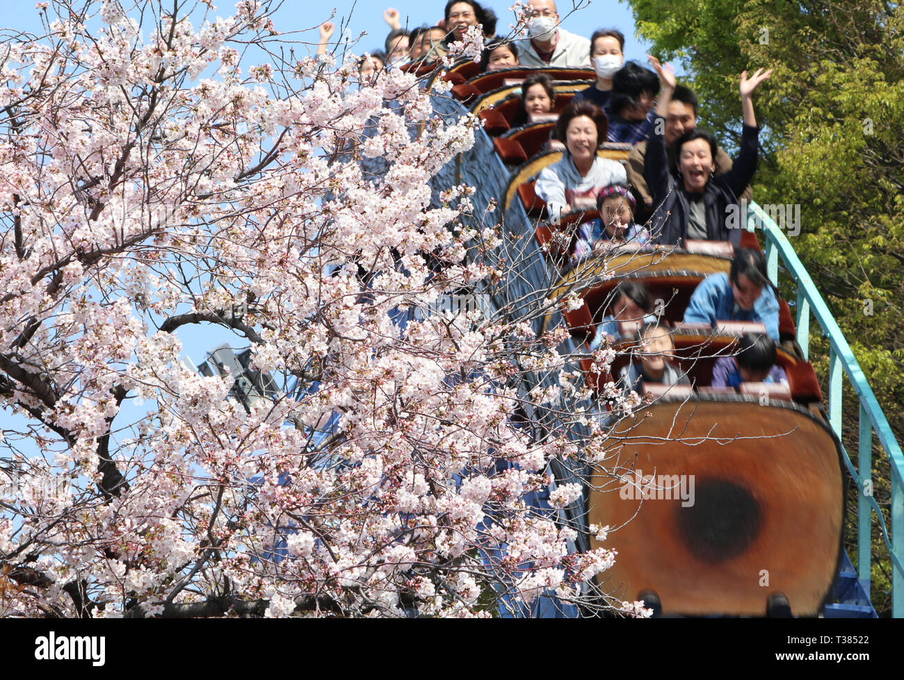 Tokyo, Japan. 6th Apr, 2019. People enjoy to see fully bloomed cherry ...