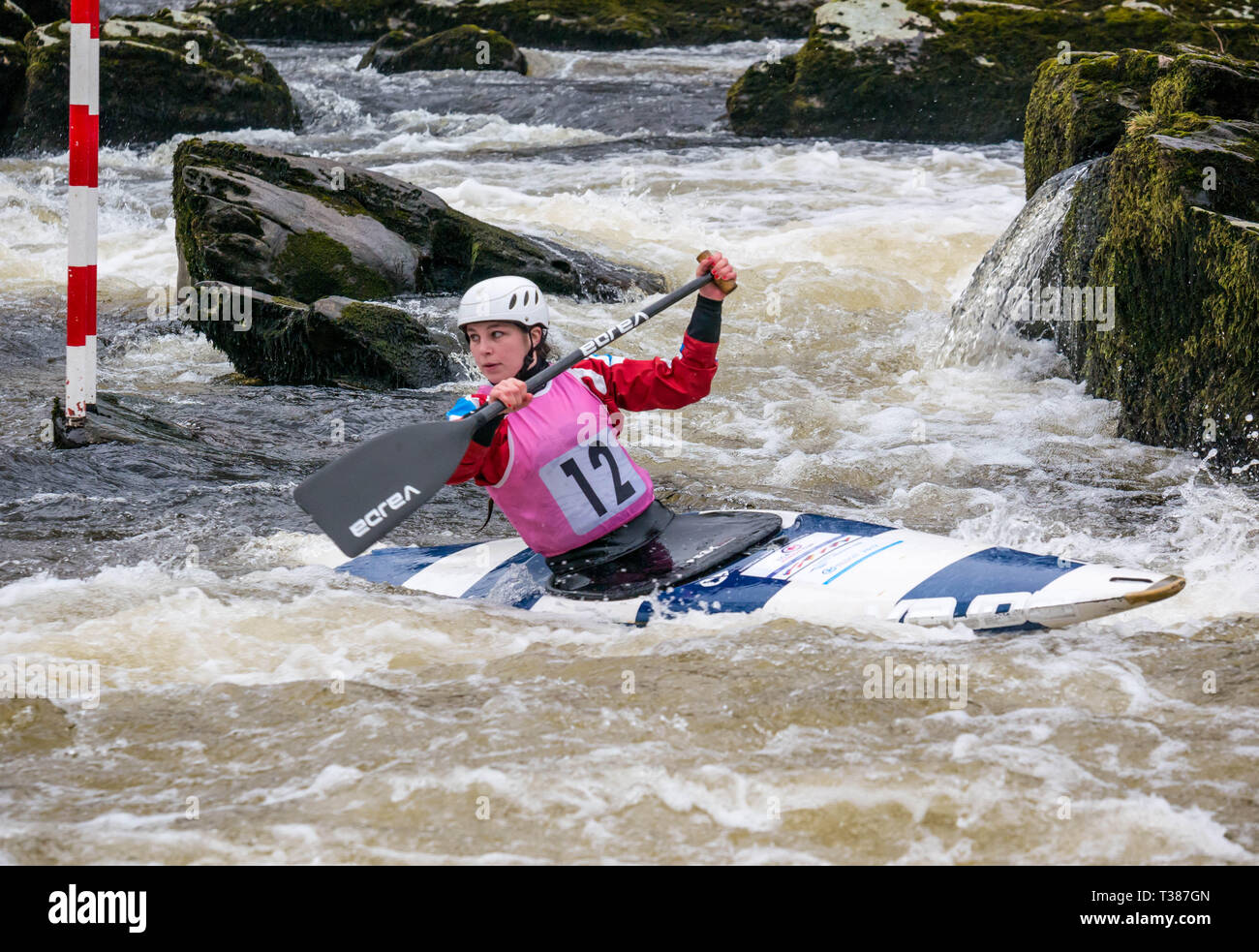 Grandtully, Perthshire, Scotland, United Kingdom, 7 April 2019 ...