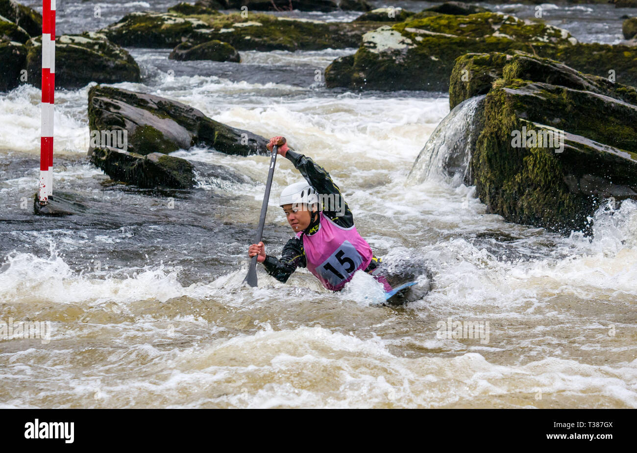 Grandtully, Perthshire, Scotland, United Kingdom, 7 April 2019 ...