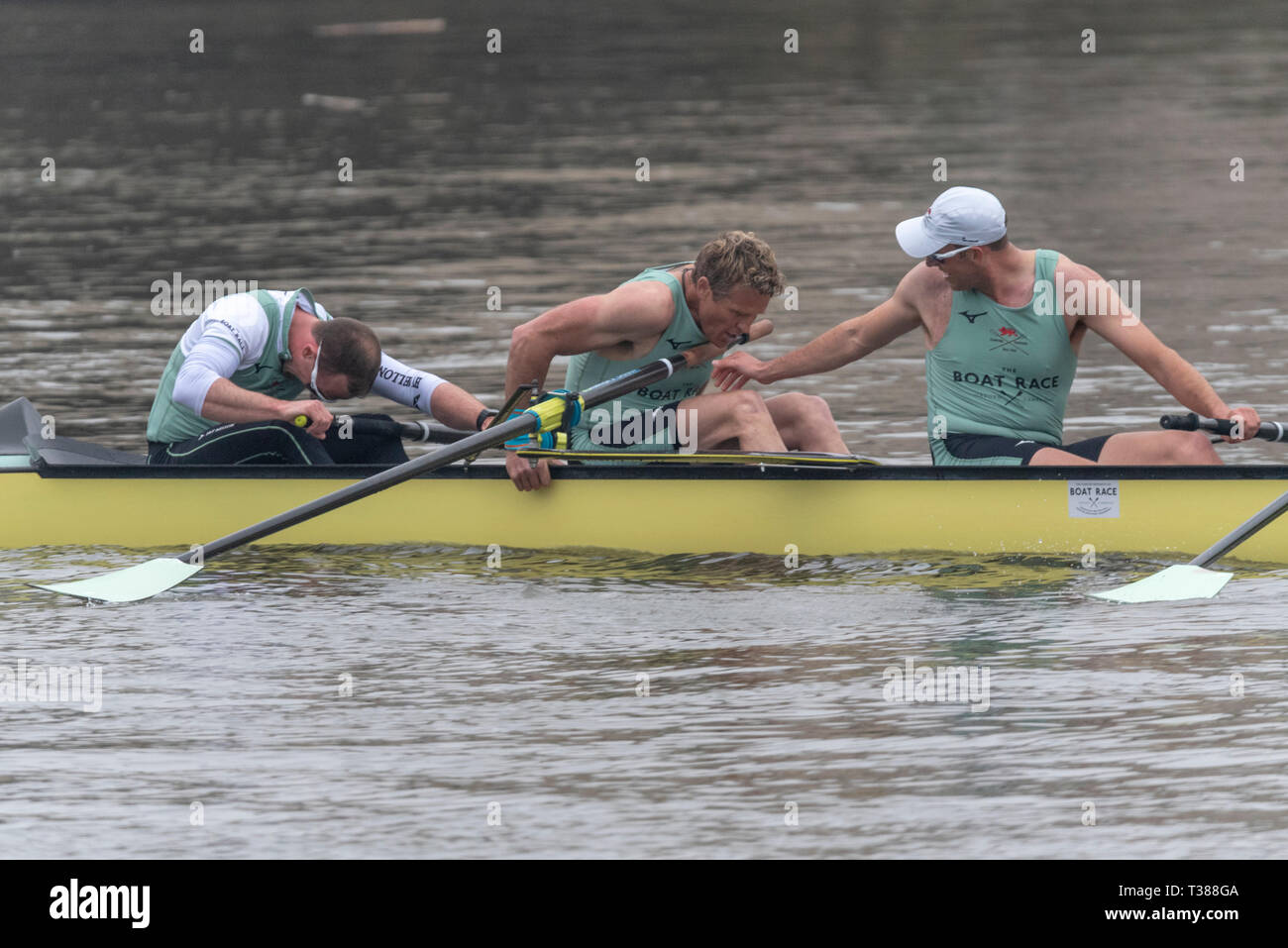 The Boat Race. Cambridge team. Men's race. Bow Dave Bell, James ...