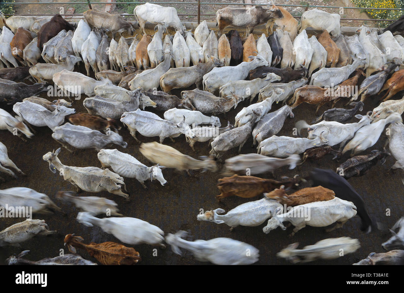 Bursting at the seams hi-res stock photography and images - Alamy