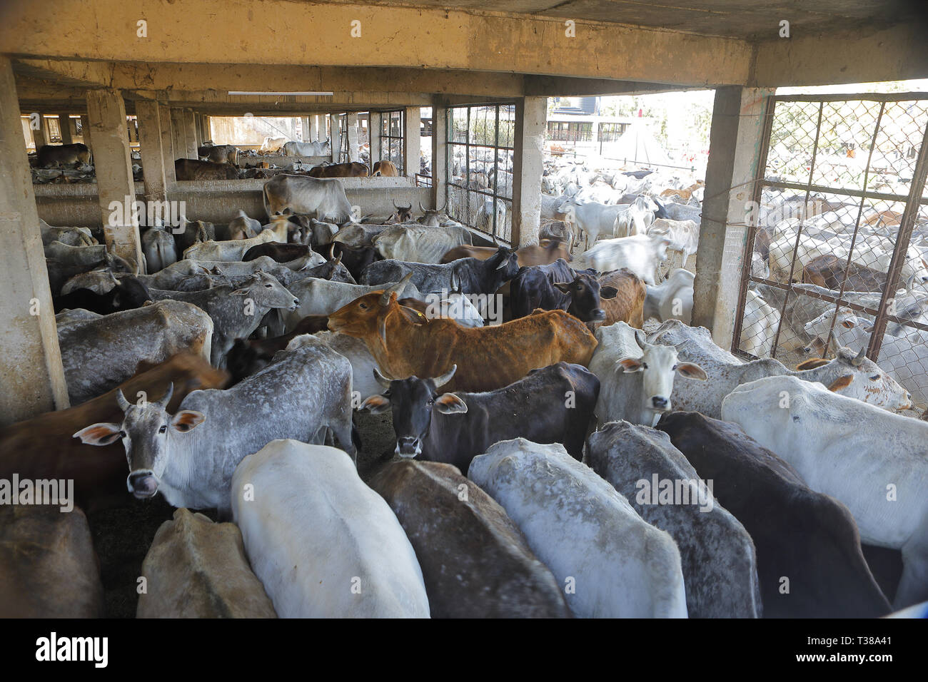 Bursting at the seams hi-res stock photography and images - Alamy