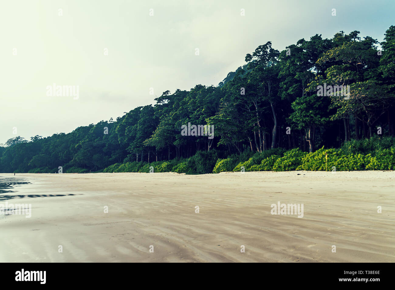 Stunning view of Radhanagar Beach on Havelock Island. Havelock Island ...