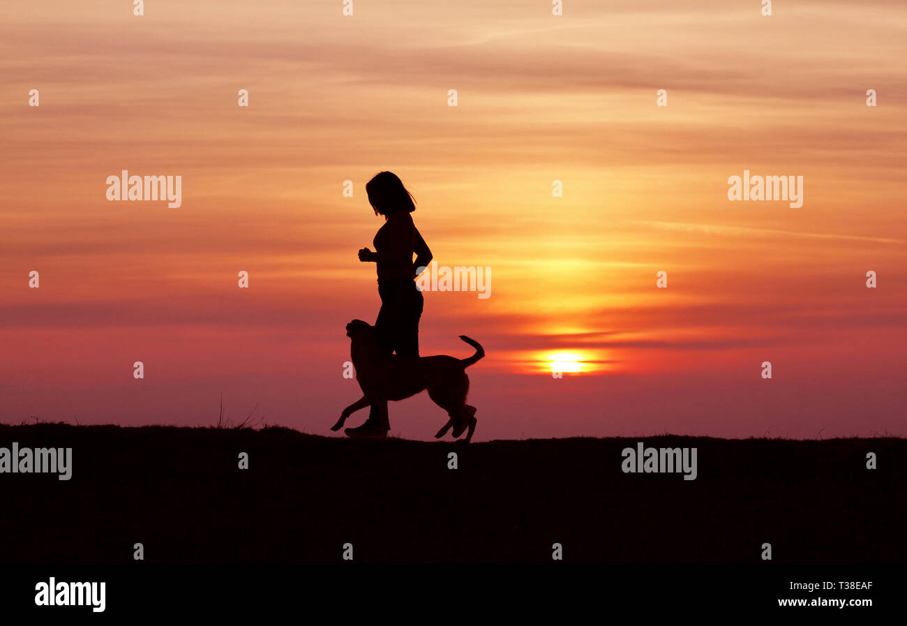 Silhouettes at sunset, girl and dog running against the backdrop of an ...