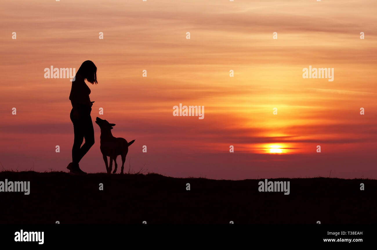 Woman running dog silhouette hi-res stock photography and images - Alamy