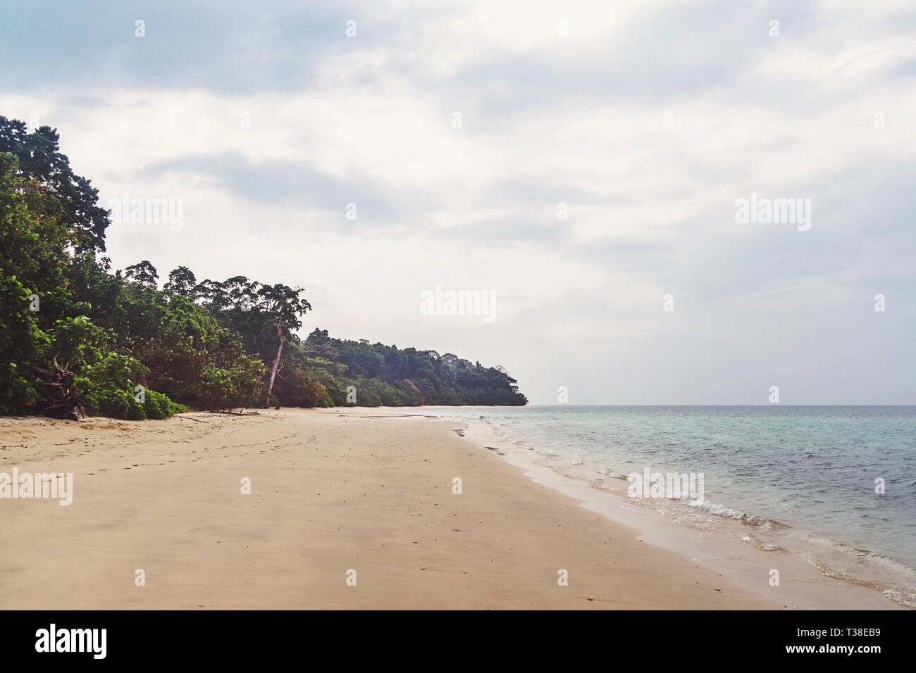 Beautiful elephant image hi-res stock photography and images - Alamy