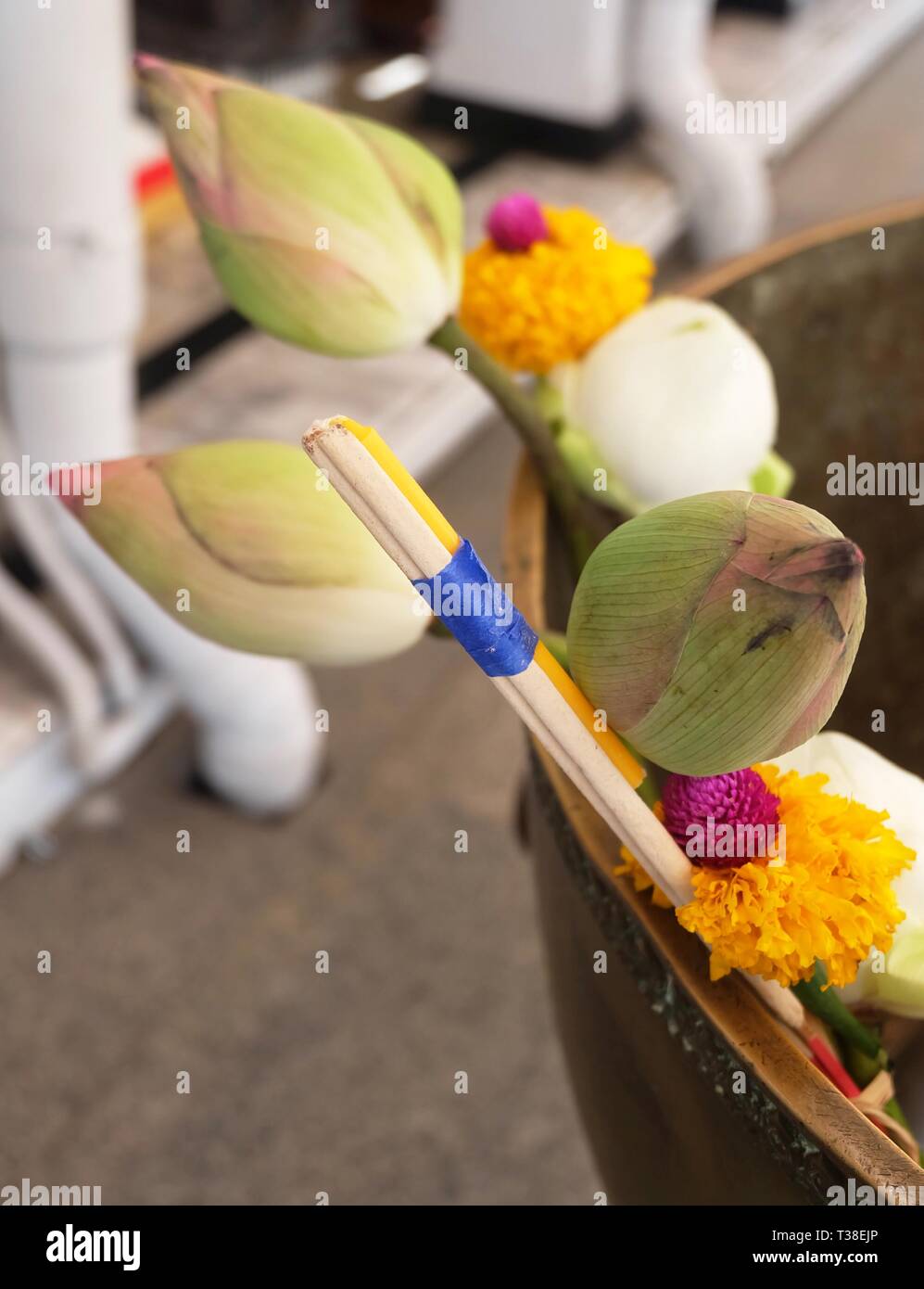 Buddhist Putting Incense Sticks and Lotus Flowers in Religion Bowl to ...