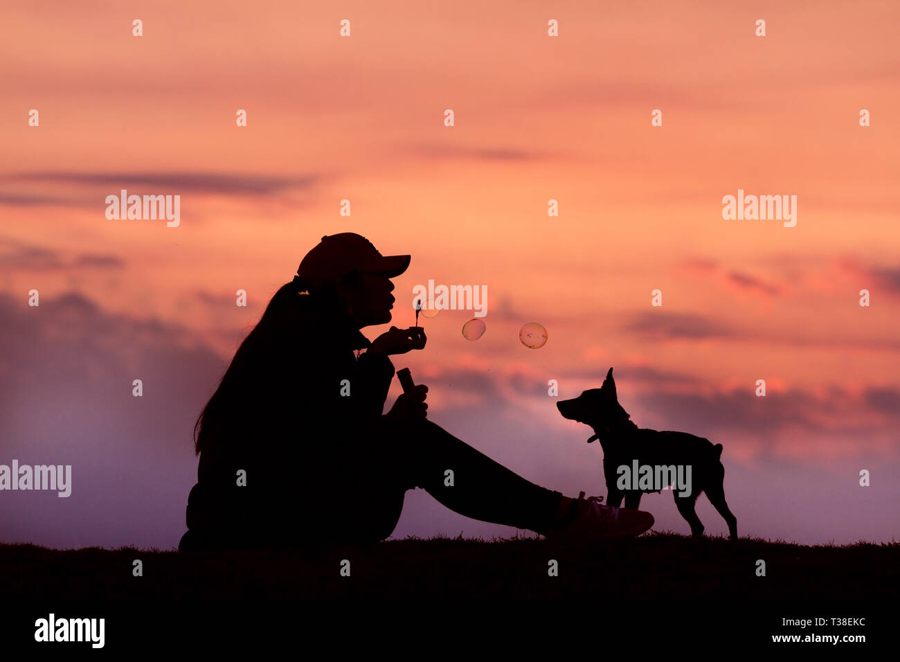 Girl with dog hi-res stock photography and images - Alamy
