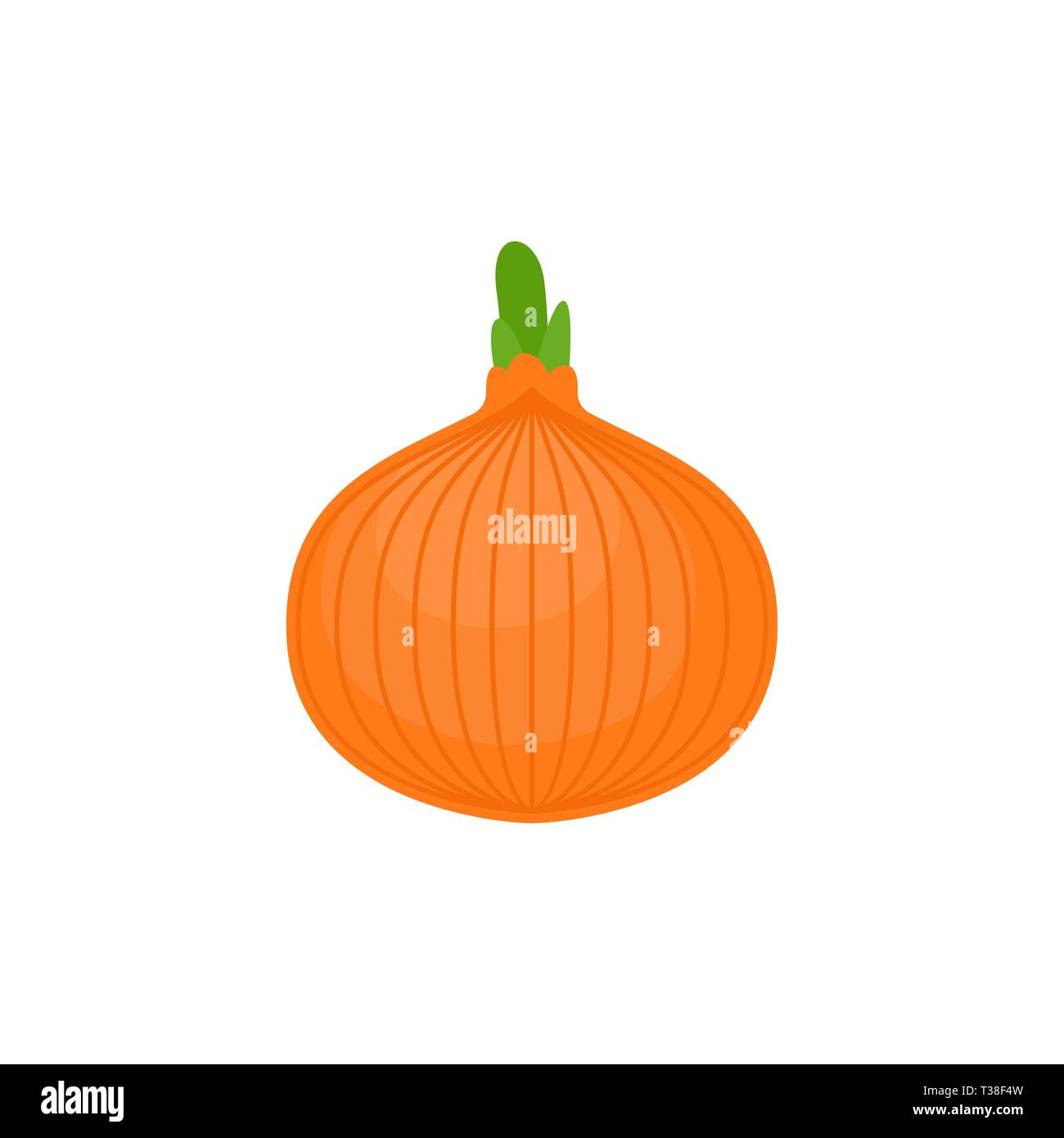 Onion isolated. vegetable Cartoon style vector illustration Stock ...