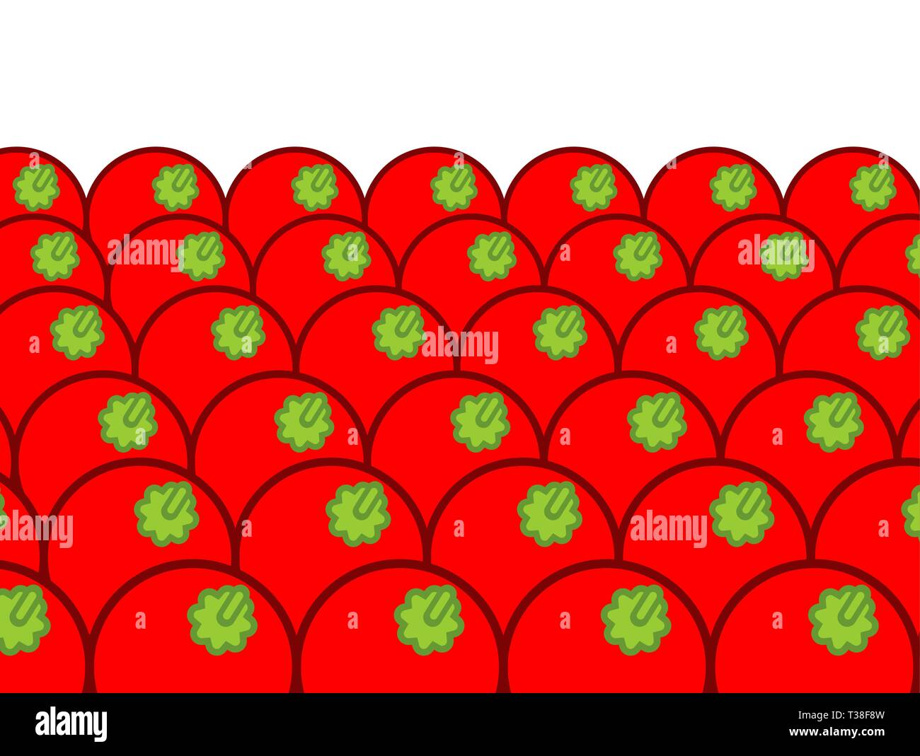 Tomato on counter. Tomatoes on market showcase. vegetable background ...