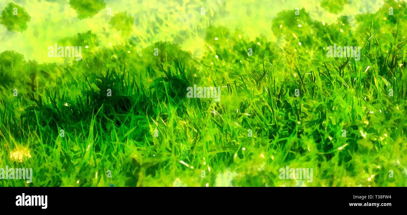 wild meadow grass structure in bright green tones, computer painting ...