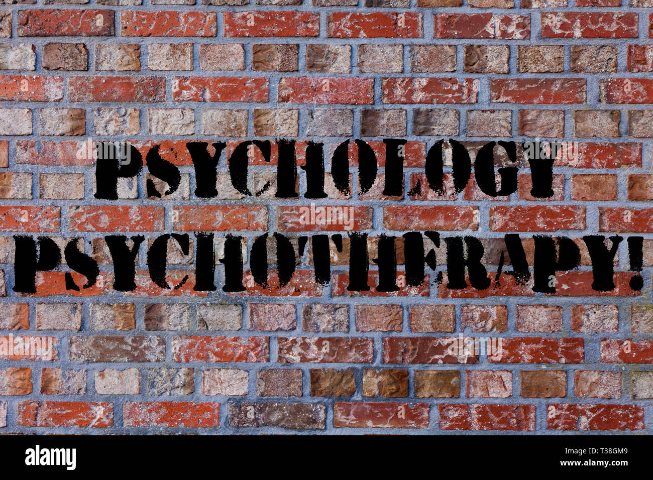 Text sign showing Psychology Psychotherapy. Business photo text ...