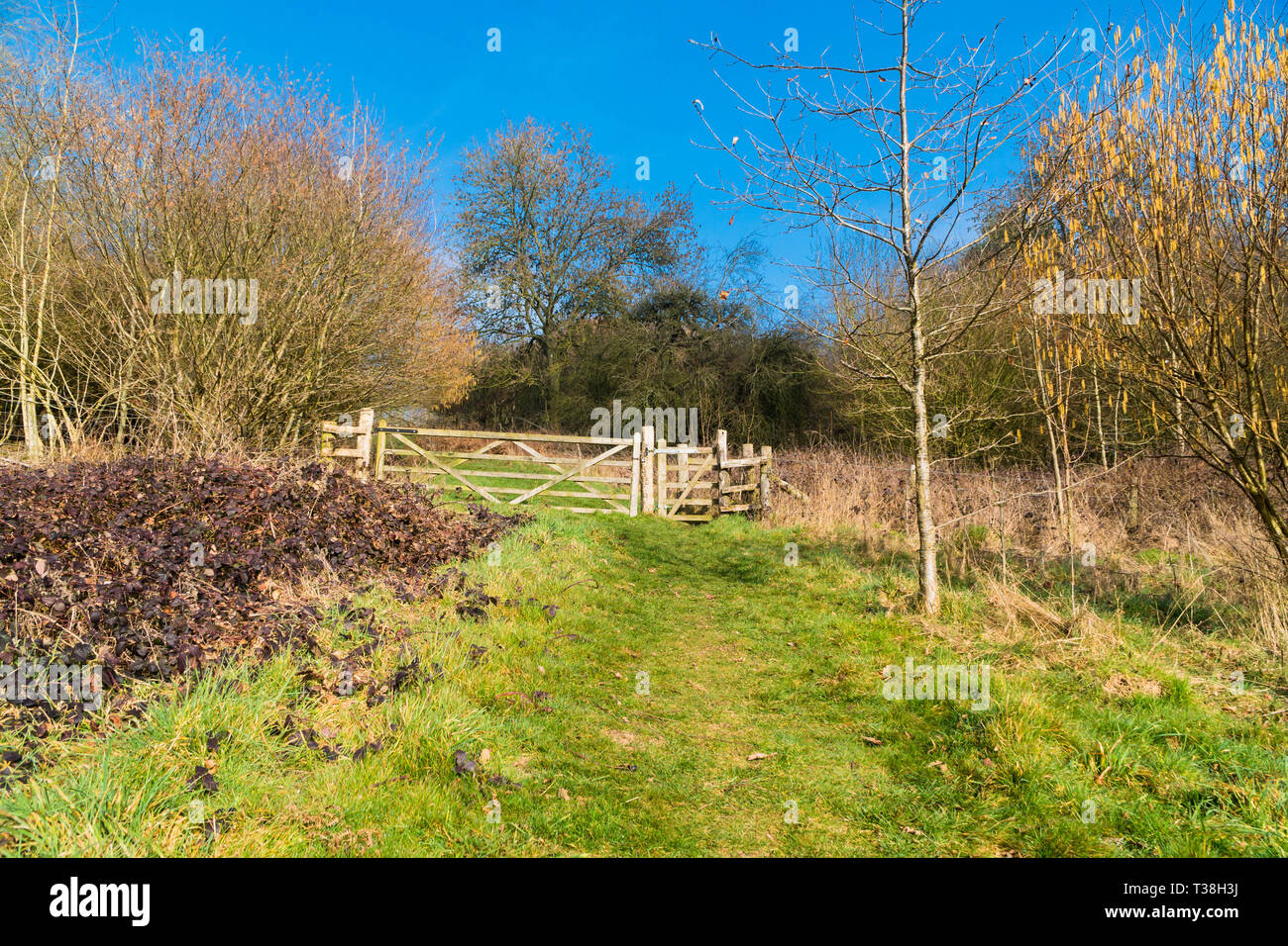 Bramble barrier hi-res stock photography and images - Alamy