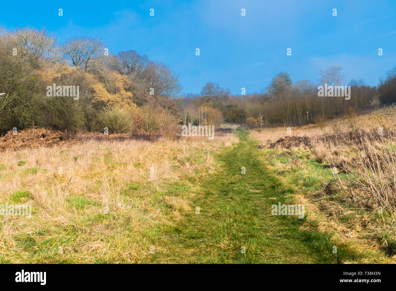 Footpath leading through wooden kissing gate Woolhope Herefordshirs ...