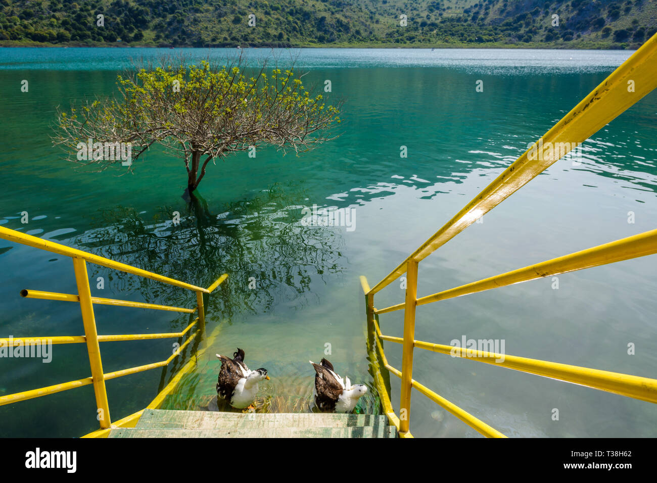Kournas lake with beautiful fresh emerald water. Crete island, Greece ...