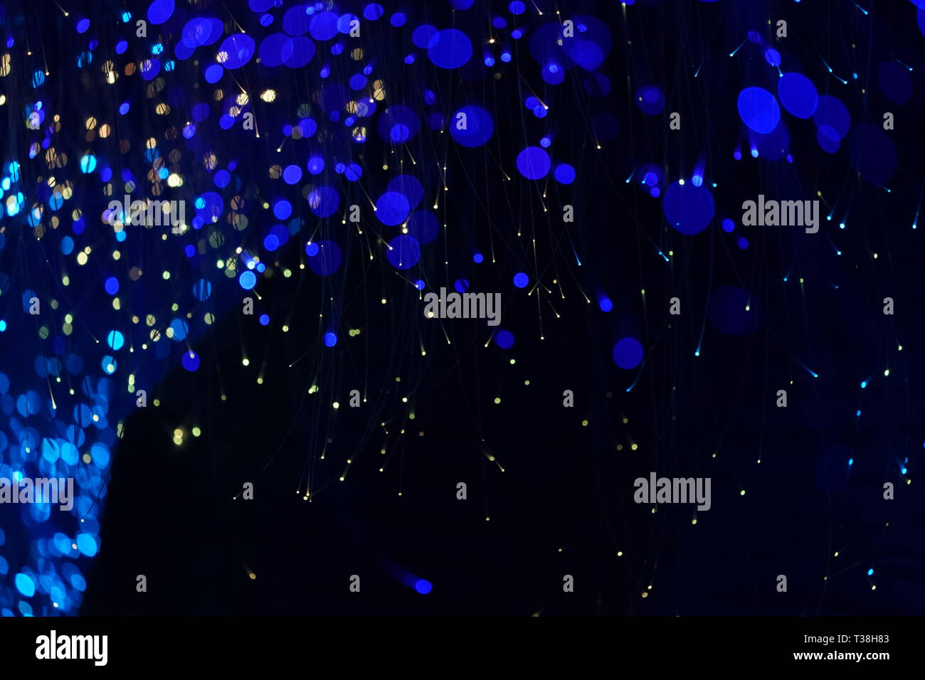 Fantastic blurry and bokeh dark blue theme background in the mystry ...