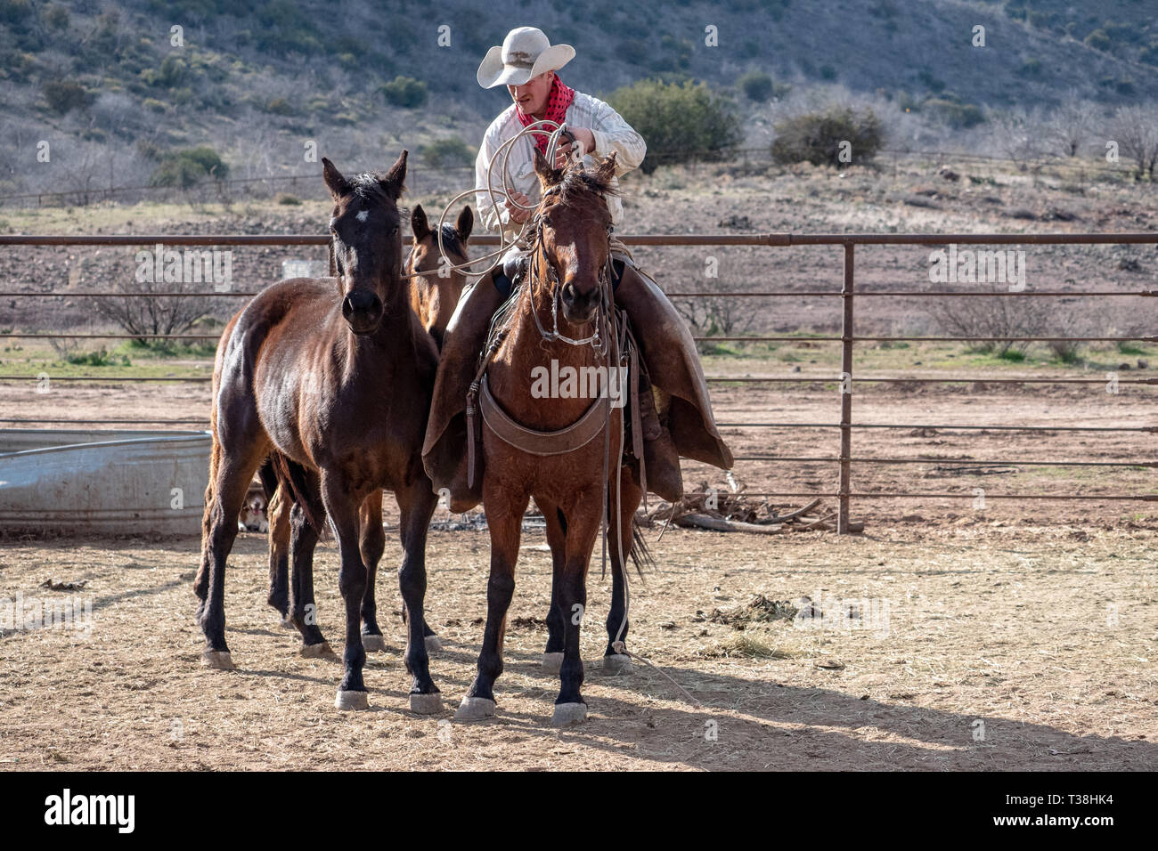 Working Cowboy High Resolution Stock Photography and Images - Alamy
