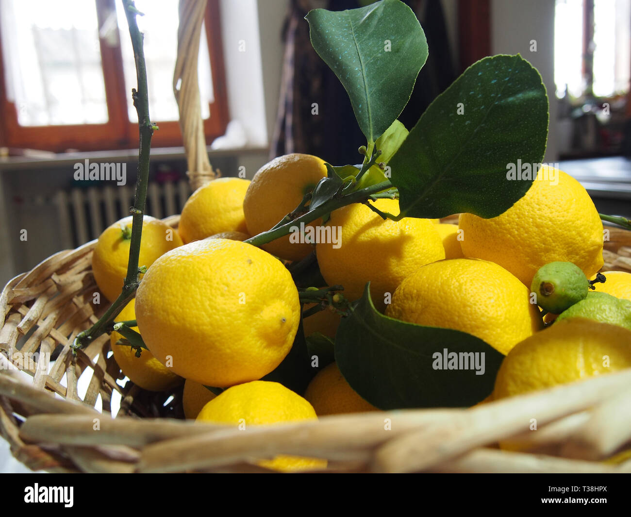 Sicilian lemons italy hi-res stock photography and images - Alamy