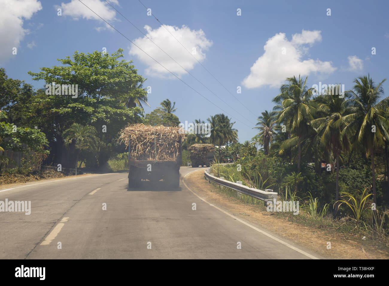 sugar cane trucks transportation in north of cebu with sugar cane ...