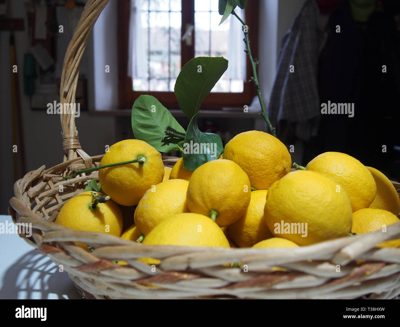 Italian lemons hi-res stock photography and images - Alamy