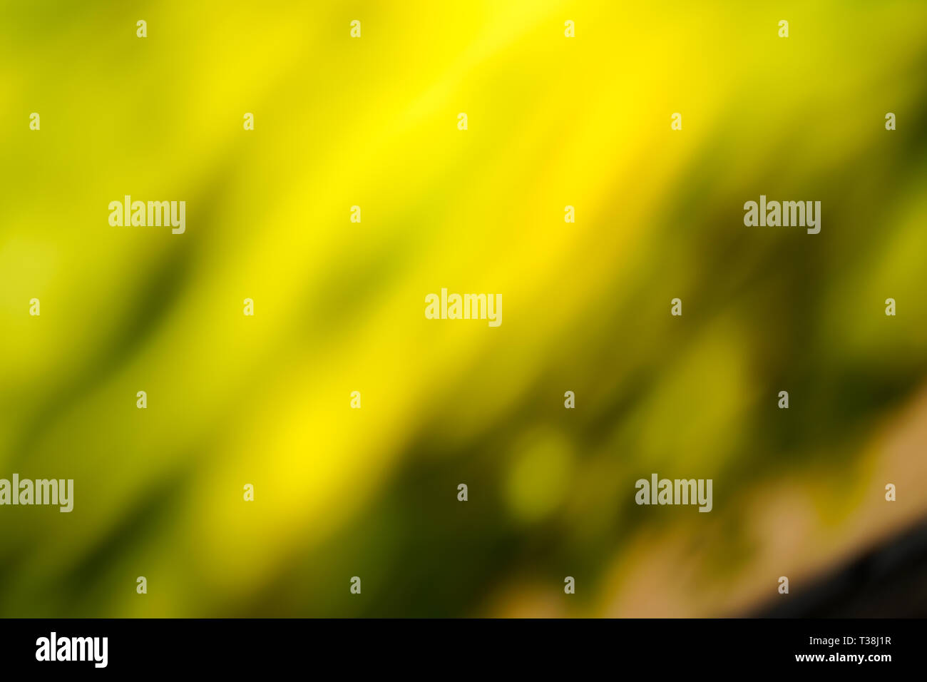 Motion abstract green blur drop down Stock Photo - Alamy