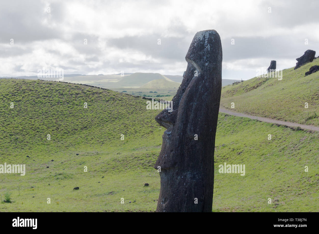 Moai - Rano Raraku - Easter Island Stock Photo - Alamy