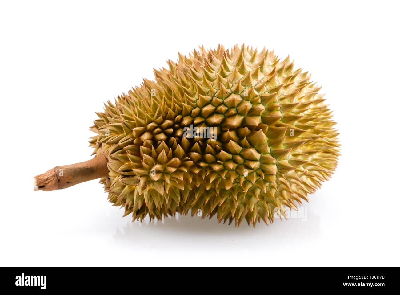 Durian on white background thailand fruit Stock Photo - Alamy