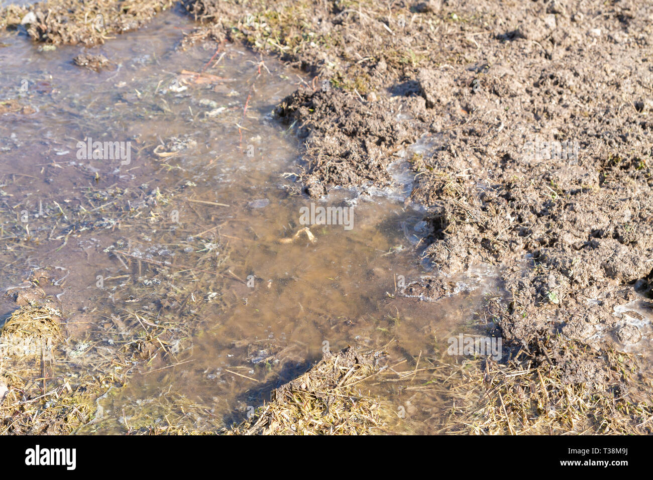 Spring flood carries the snow and turns into a puddle outside the city ...