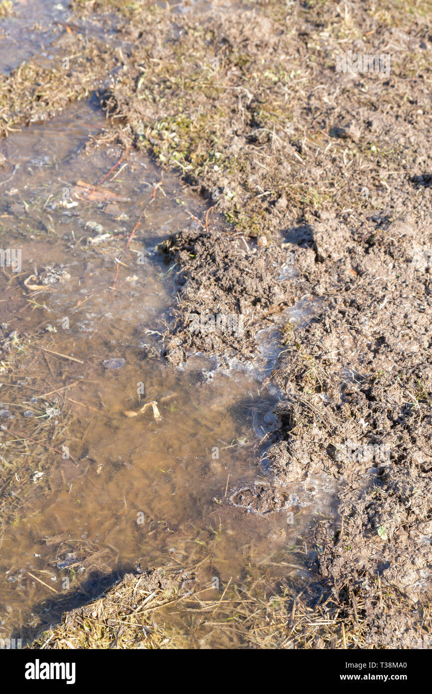 Spring flood carries the snow and turns into a puddle outside the city ...