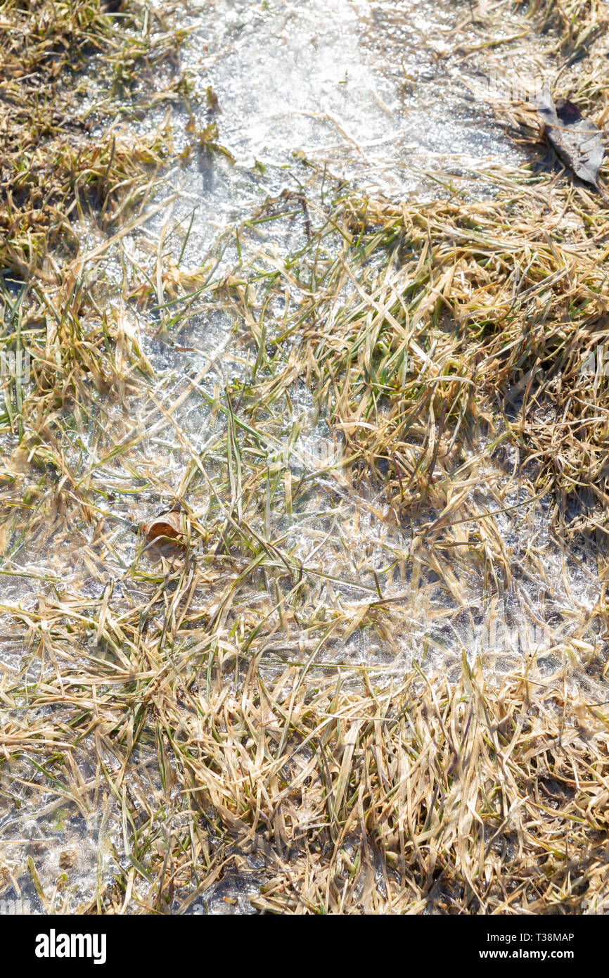 Spring flood carries the snow and turns into a puddle outside the city ...
