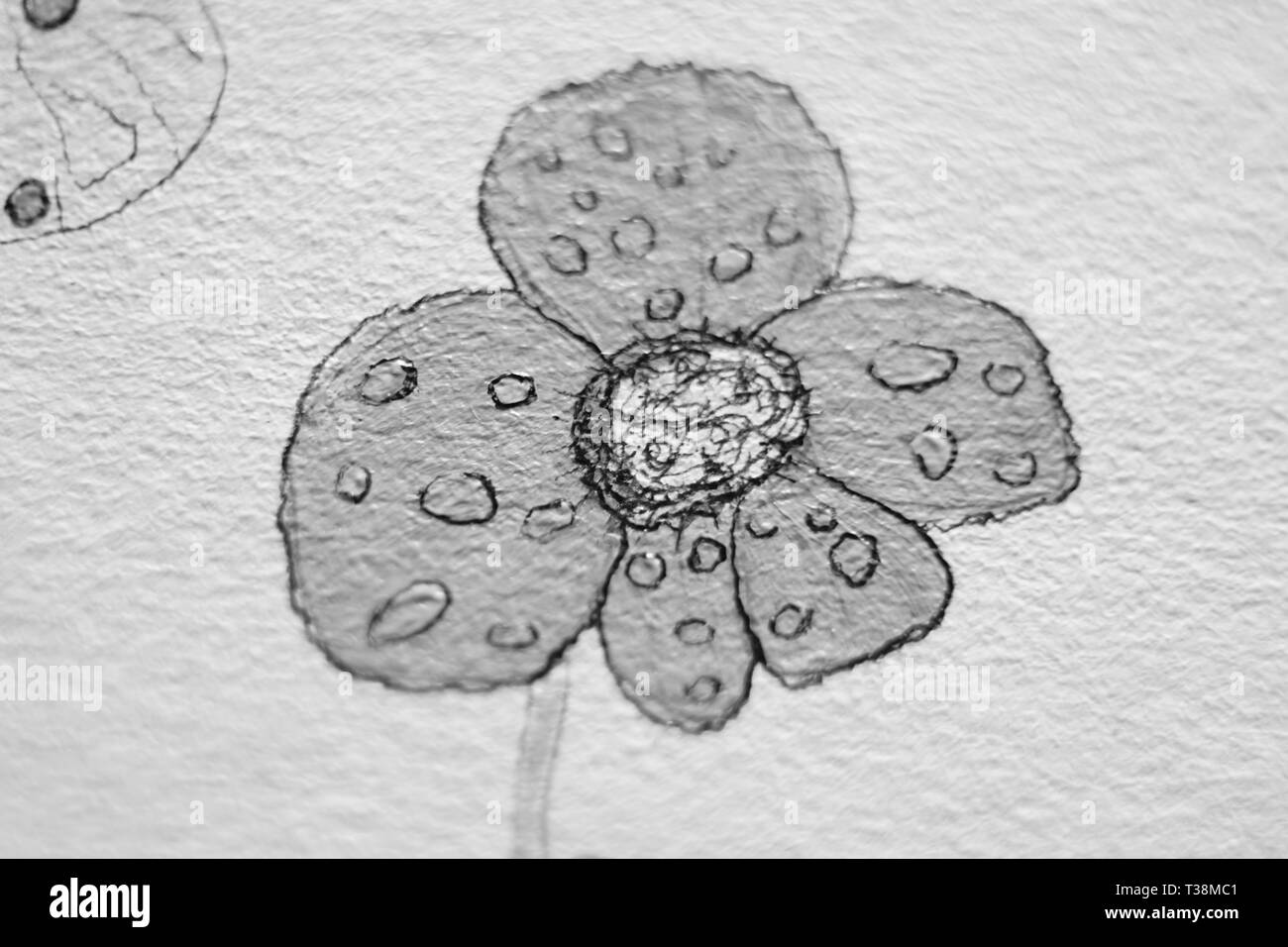 Bw texture hi-res stock photography and images - Alamy