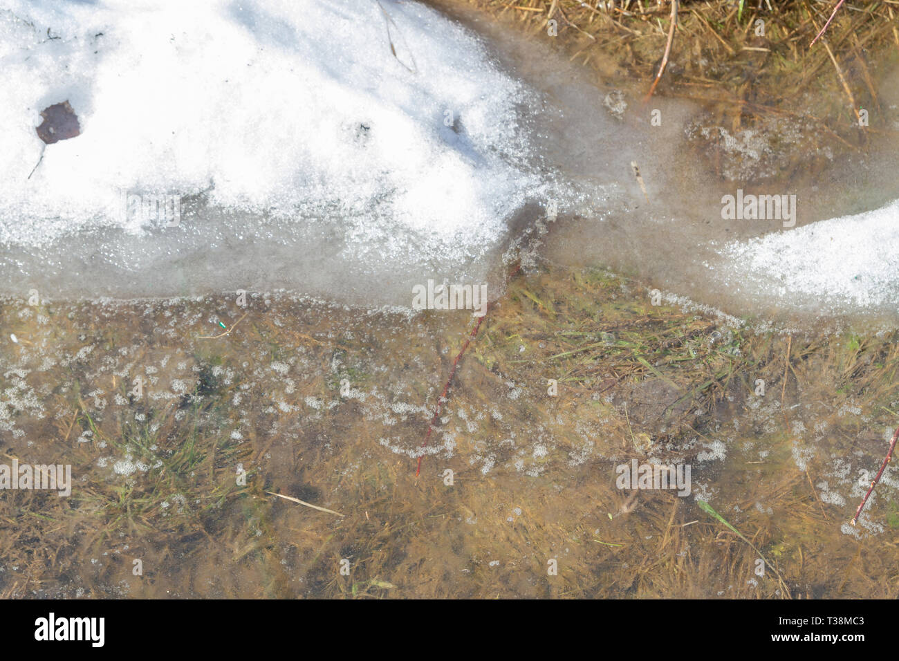 Spring flood carries the snow and turns into a puddle outside the city ...