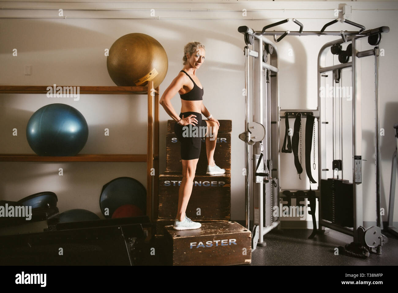 Female fitness model - gym Stock Photo - Alamy