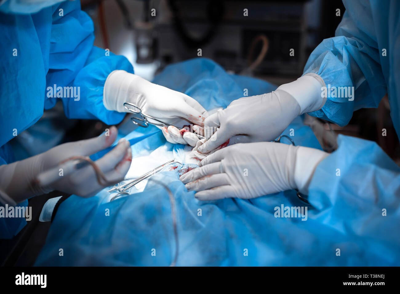 Bloody surgical glove hi-res stock photography and images - Alamy