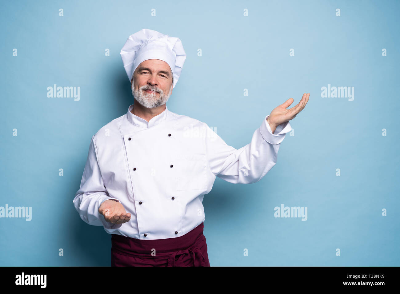 Portrait of a happy chef cook showing copyspace on the palms isolated ...