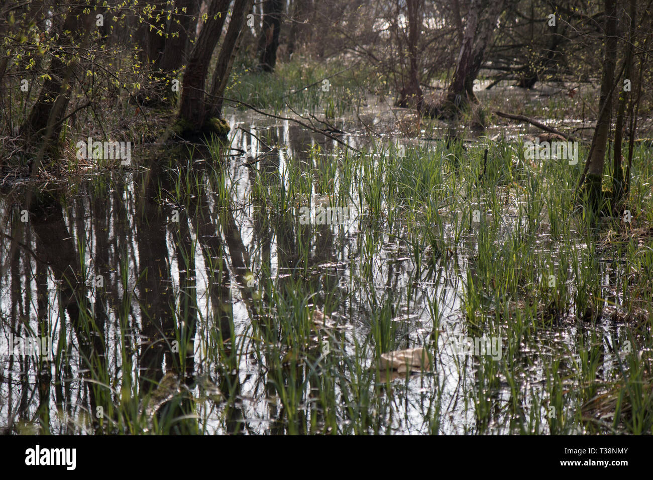 Scarpe river hi-res stock photography and images - Alamy