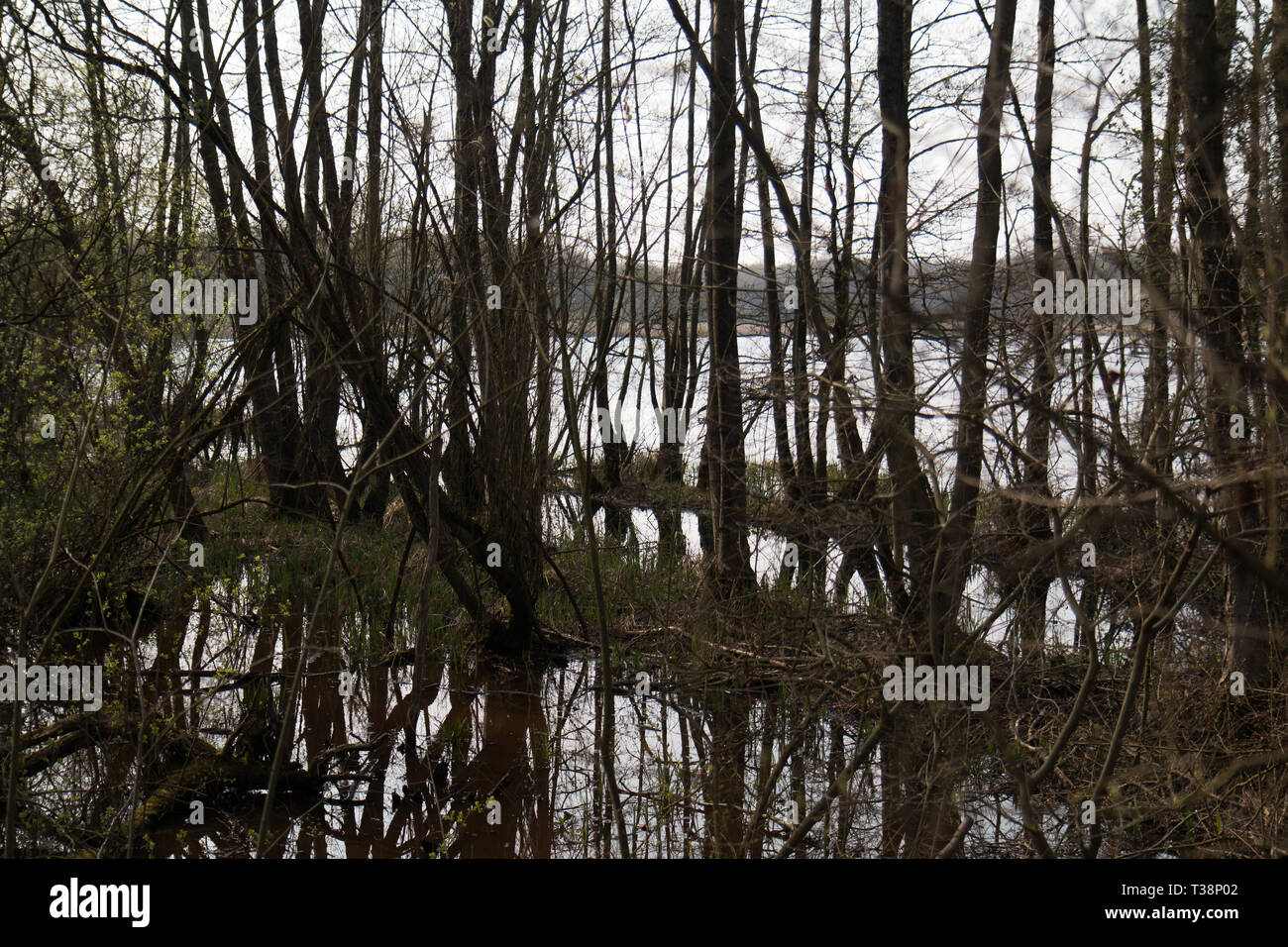 Scarpe river hi-res stock photography and images - Alamy