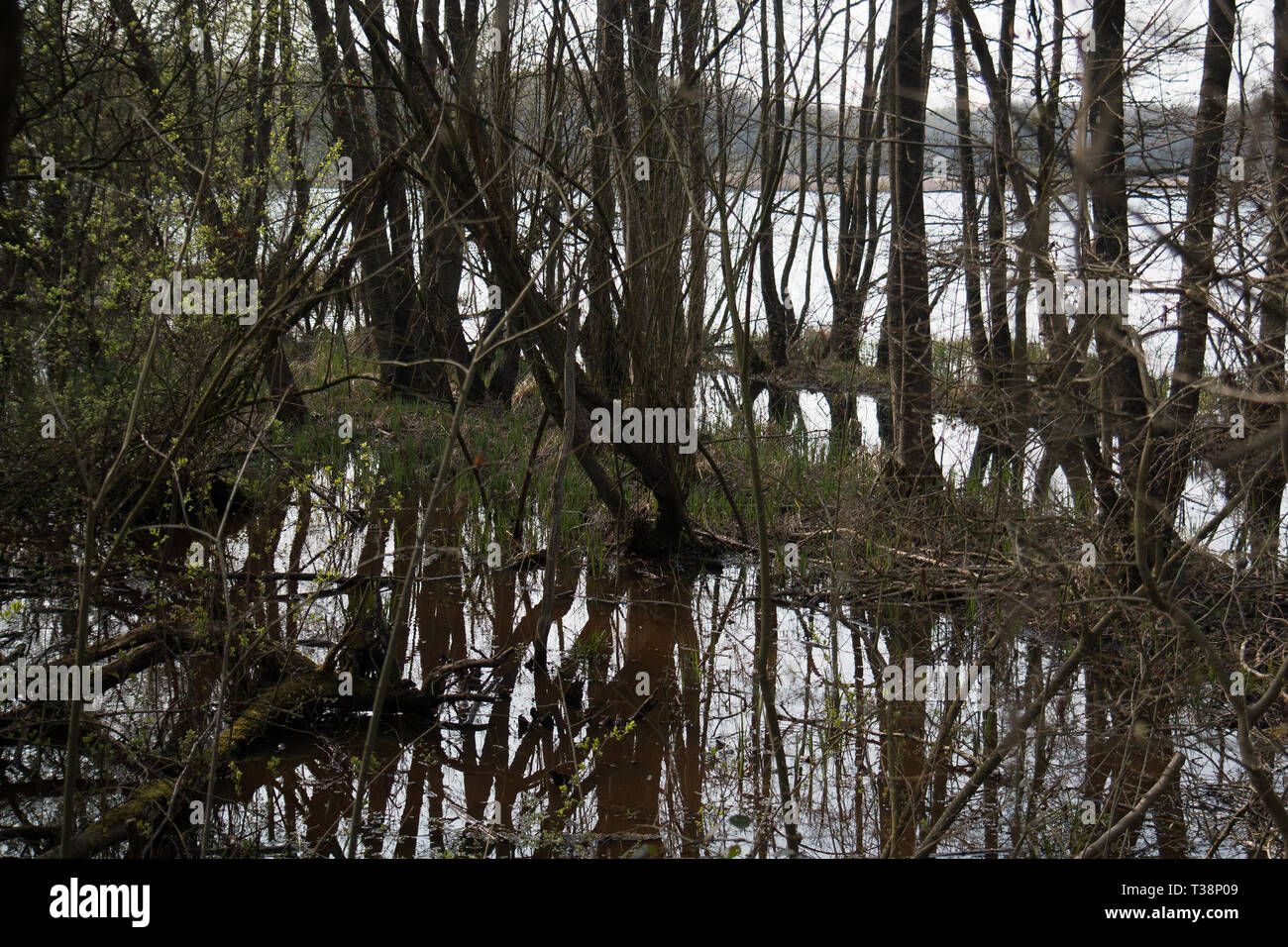 Scarpe river hi-res stock photography and images - Alamy
