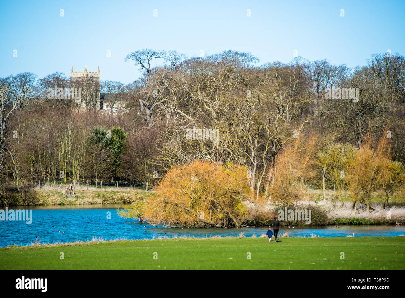 Holkham park lake, Holkham hall in North Norfolk, East Anglia, England ...