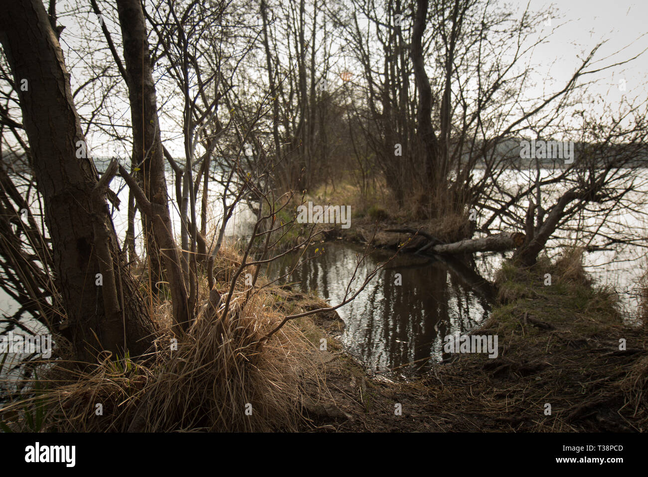 Scarpe river hi-res stock photography and images - Alamy