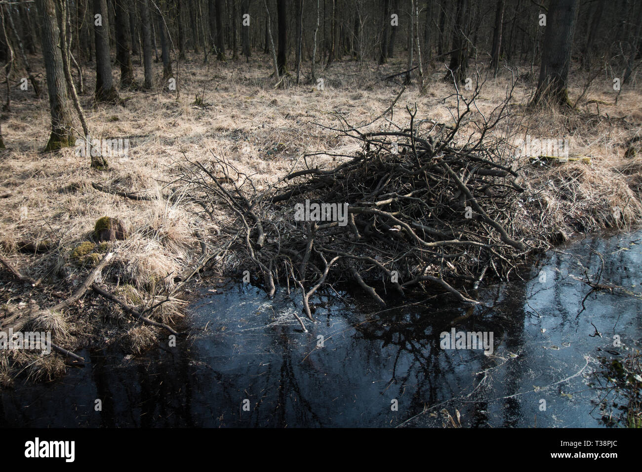 Scarpe river hi-res stock photography and images - Alamy