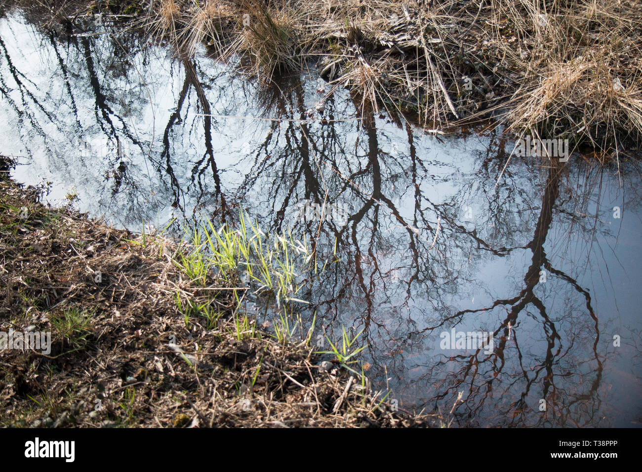 Scarpe river hi-res stock photography and images - Alamy