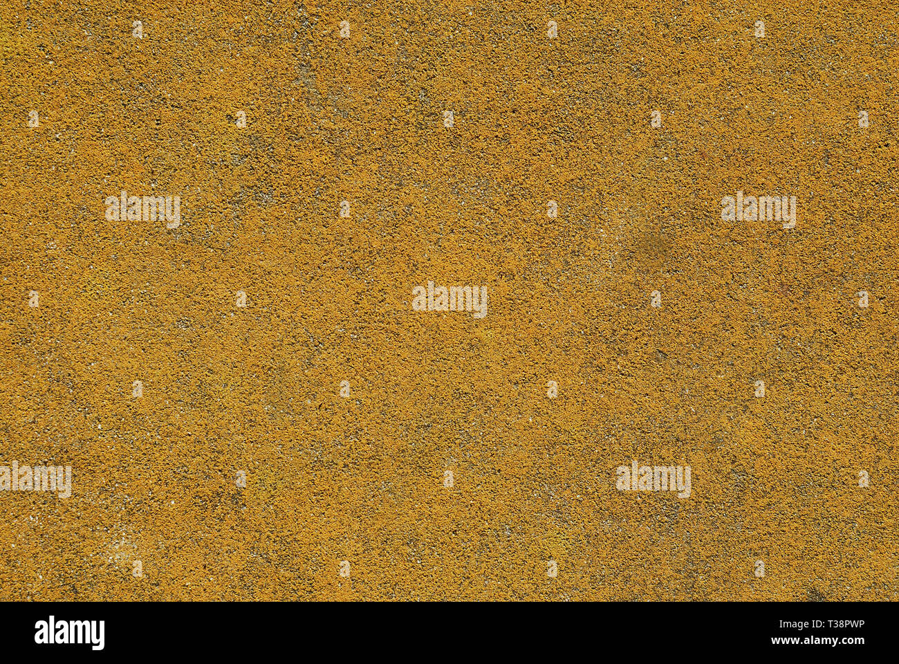 Detail of some orange colored stucco Stock Photo - Alamy