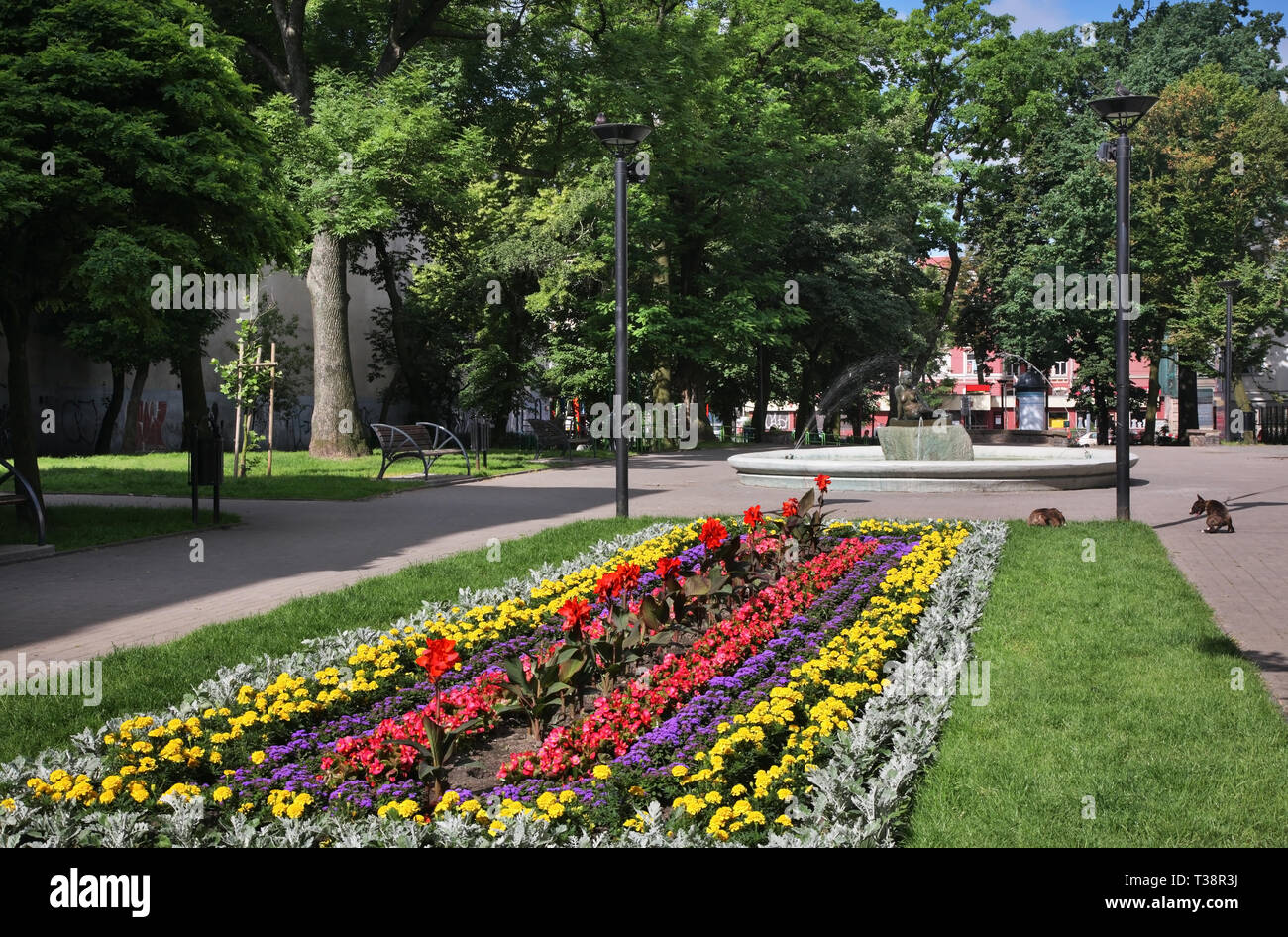 Arthur rubinstein hi-res stock photography and images - Alamy