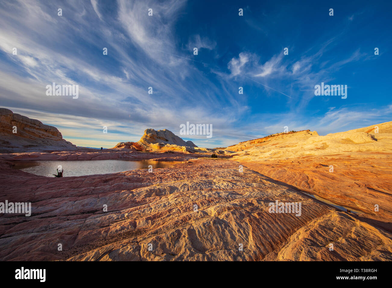 White Pocket in Vermillion Cliffs National Monument, Arizona, USA Stock ...