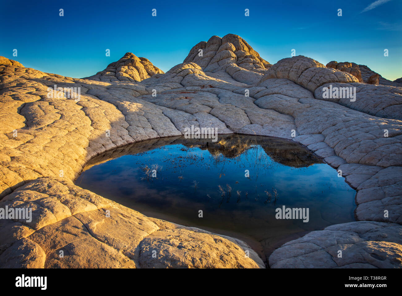 White Pocket in Vermillion Cliffs National Monument, Arizona, USA Stock ...