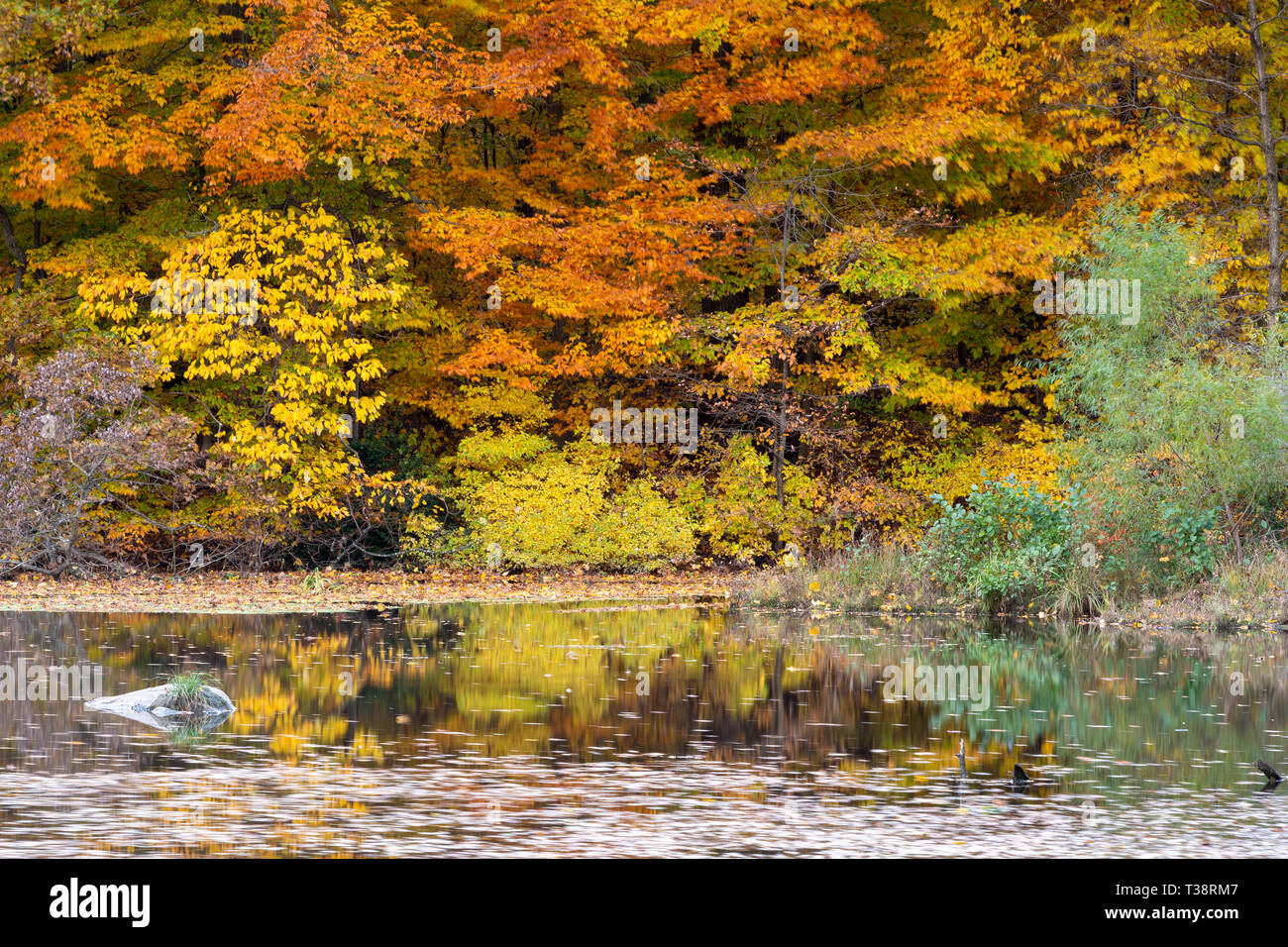 Demarest Kill County Park High Resolution Stock Photography and Images ...