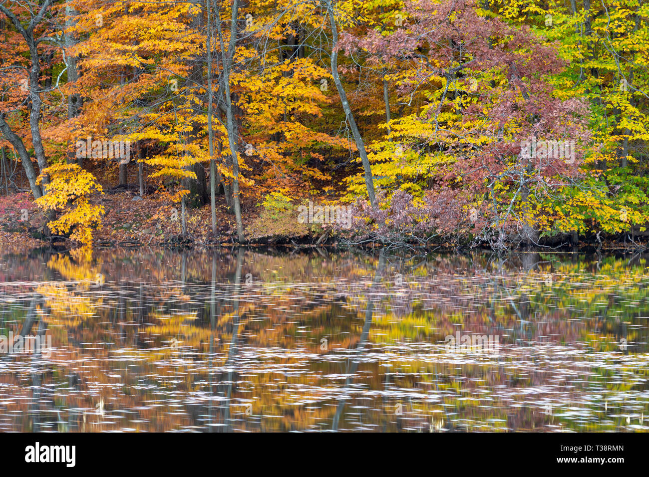Demarest Kill County Park High Resolution Stock Photography and Images ...