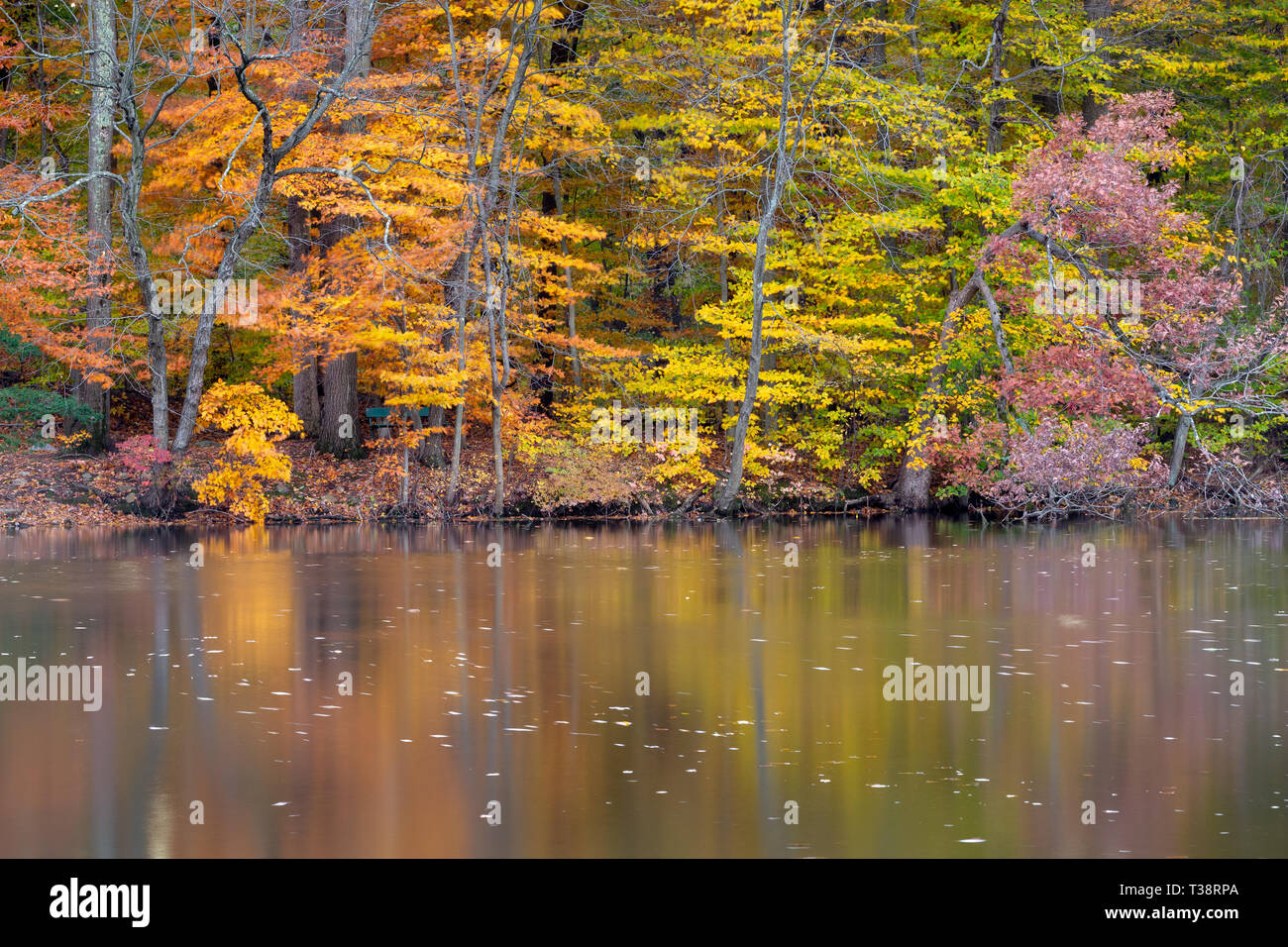 Demarest Kill County Park High Resolution Stock Photography and Images ...
