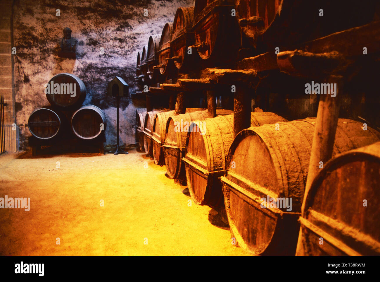 Aging sherry casks,Jerez,Spain Stock Photo - Alamy